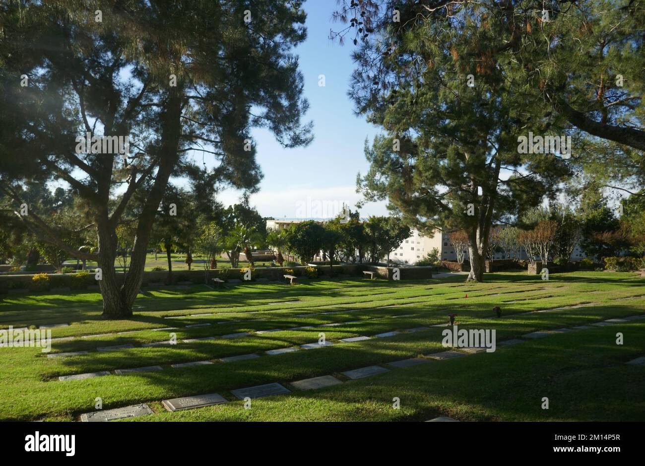 Los Angeles, California, USA 8th December 2022 Actor Allan Drake's ...