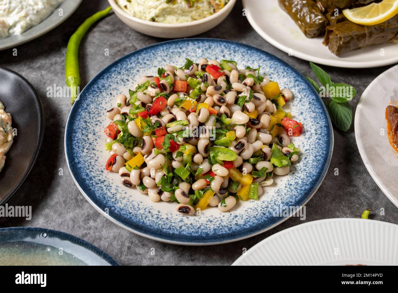 Traditional Turkish and Greek dinner appetizer table. Mediterranean ...