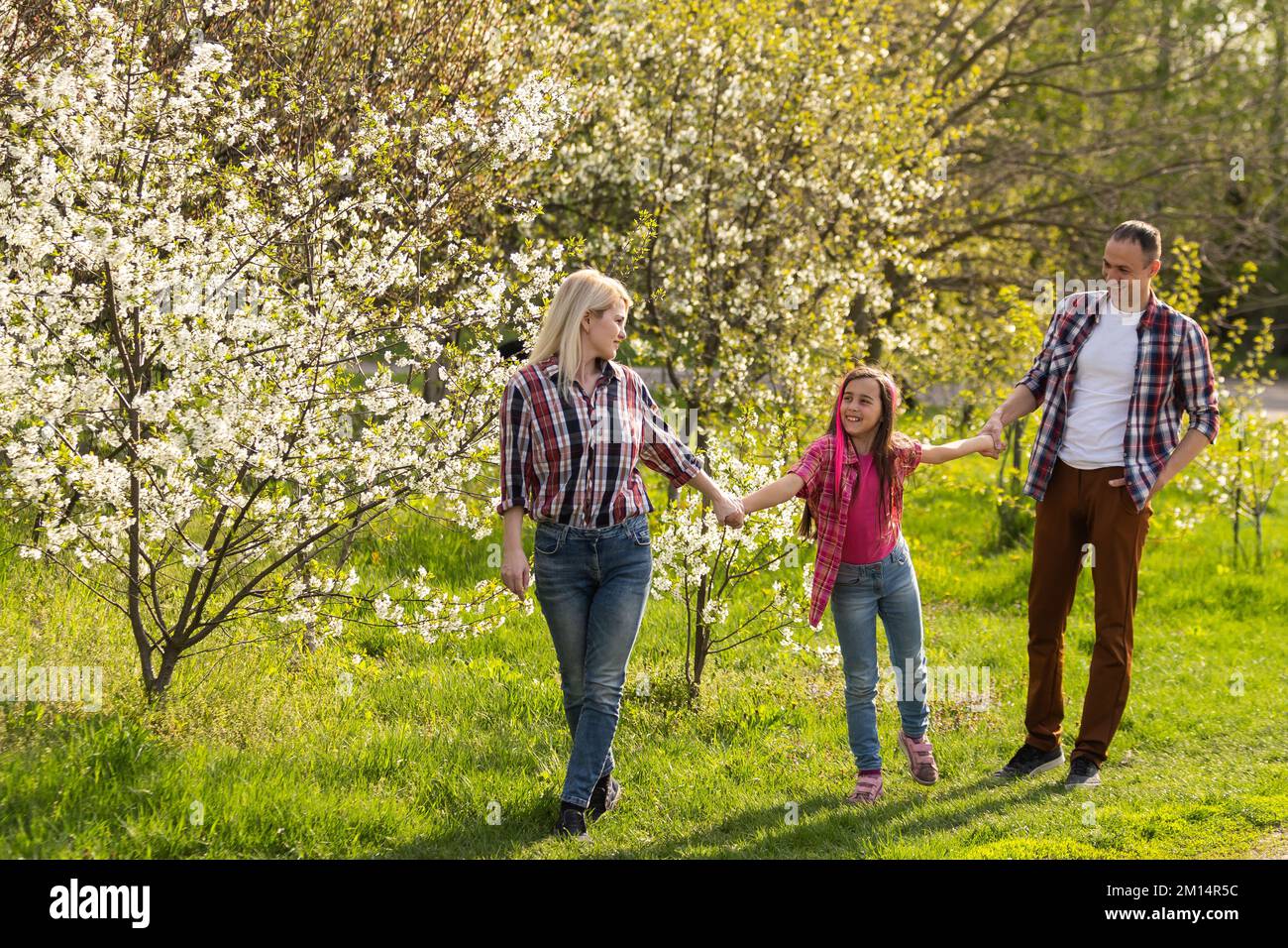 family walk the cherry trees Stock Photo - Alamy