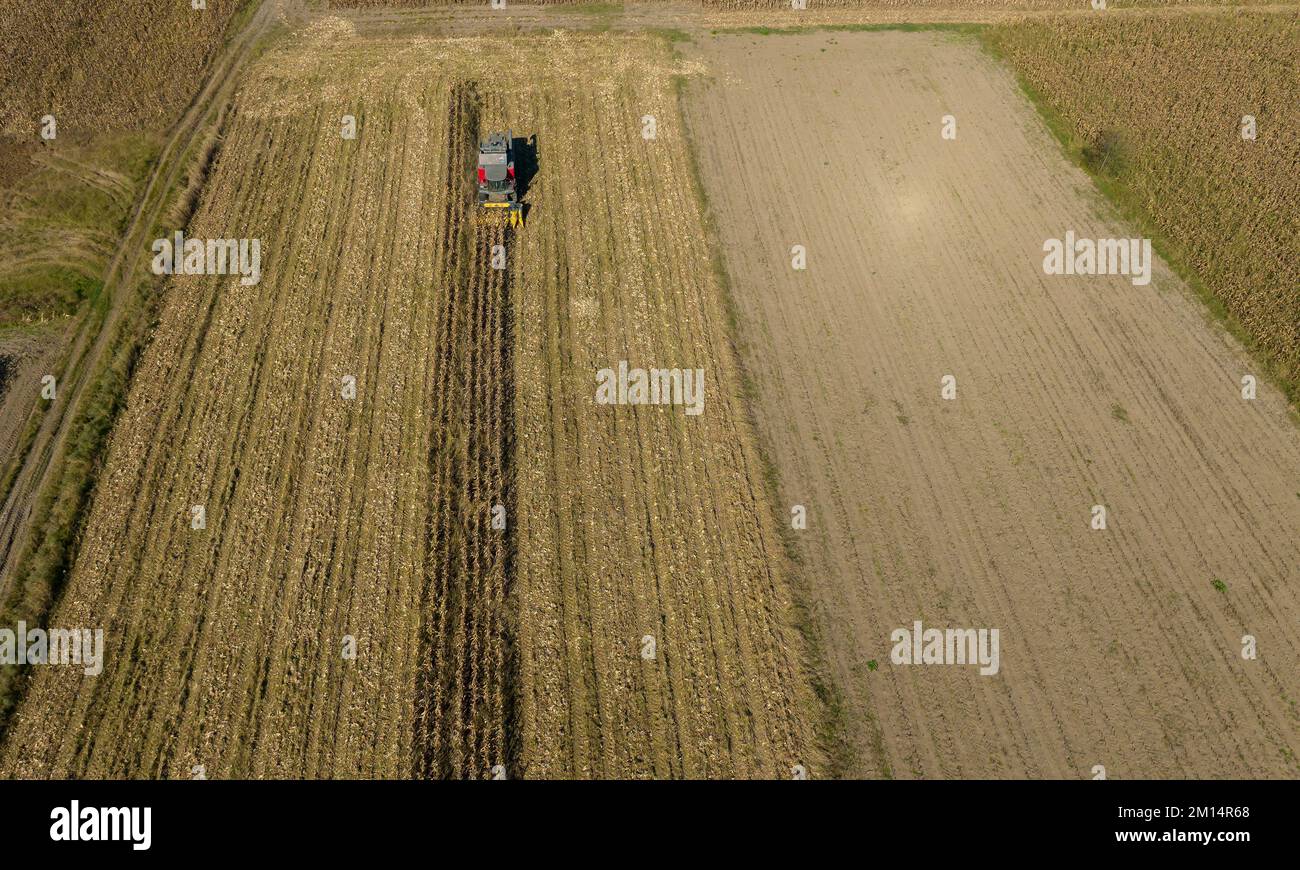 Farm field, farmers work with tractor on farmland Stock Photo - Alamy