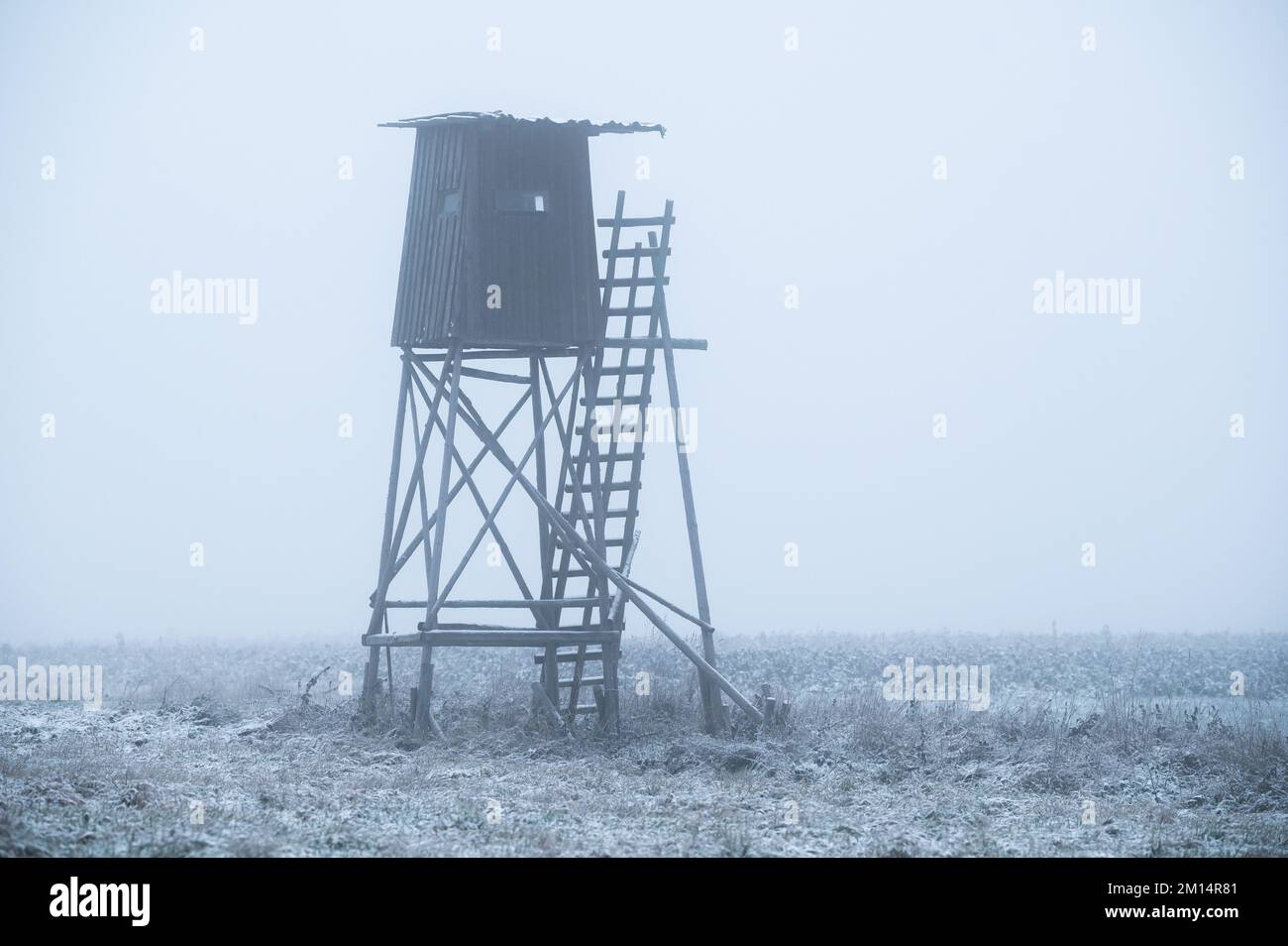 Rottweil, Germany. 10th Dec, 2022. A raised hide can be seen in the ...