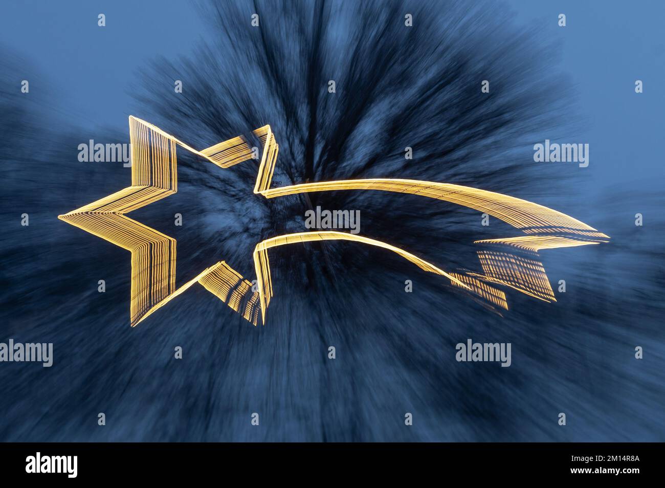 Rottweil, Germany. 10th Dec, 2022. An illuminated poinsettia stands on ...