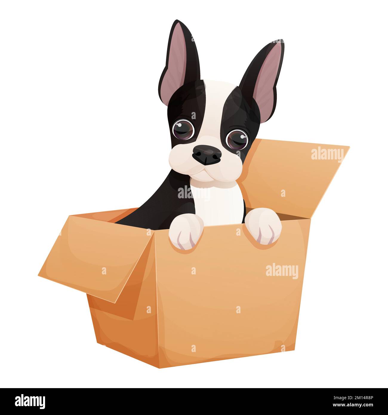 Cute boston terrier dog sitting in the box, adorable pet in cartoon ...