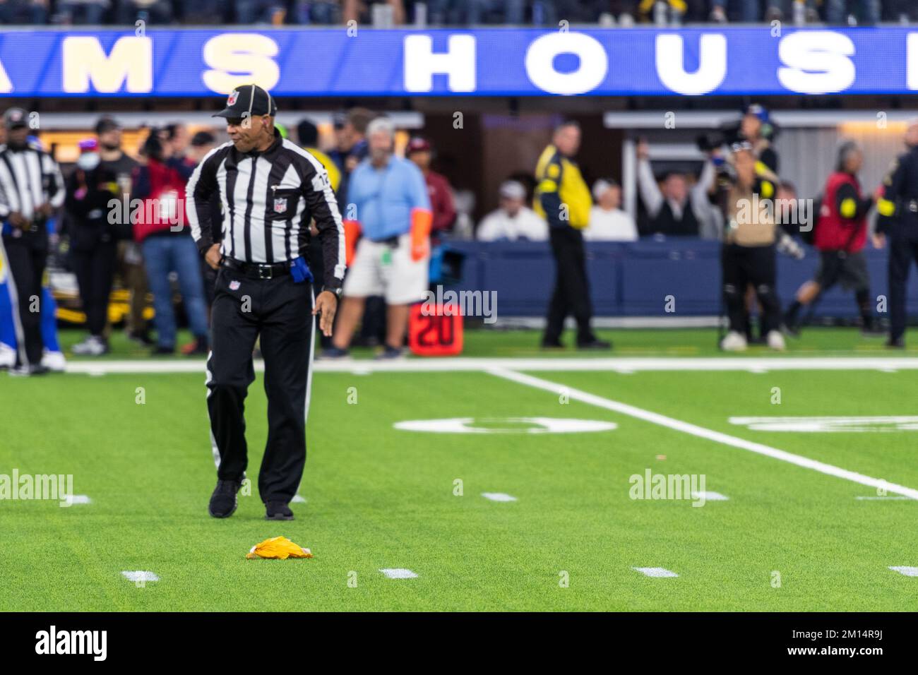 Nfl Football Referee Flag