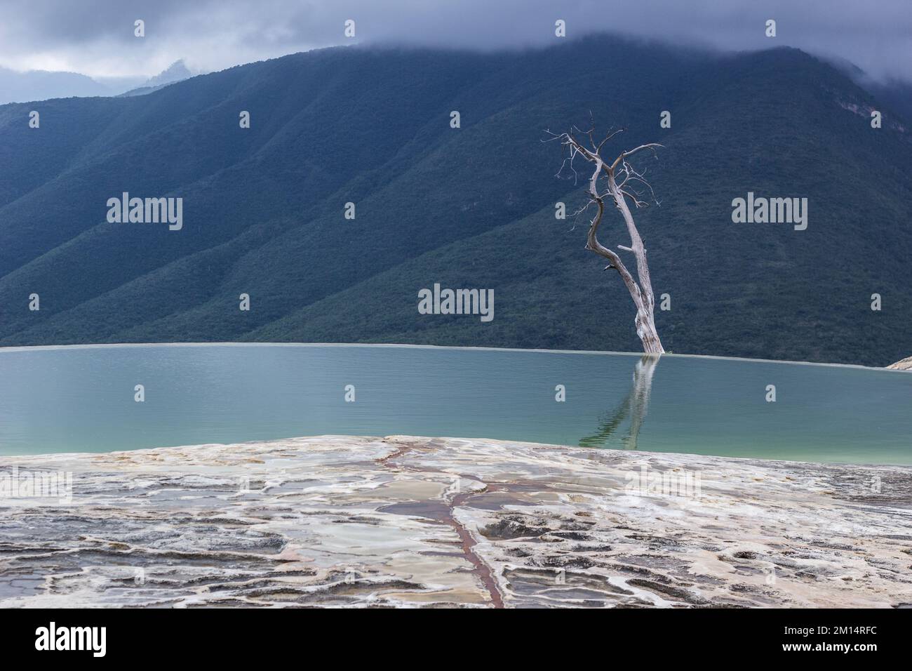 A vertical of the white mountain blue lake deciduous tree reflecting in ...