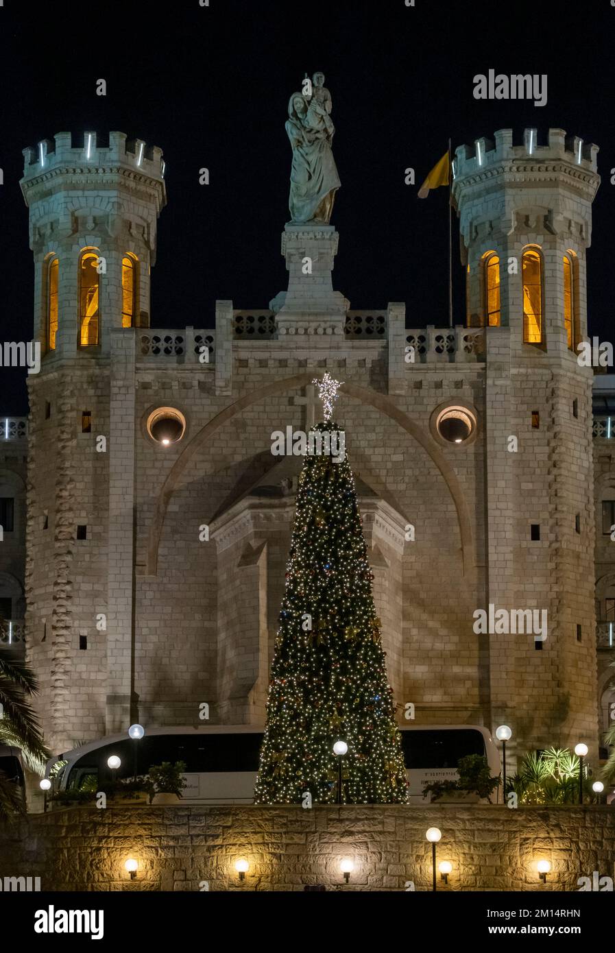 A decorated Christmas tree in front of the 19th century Notre Dame of ...