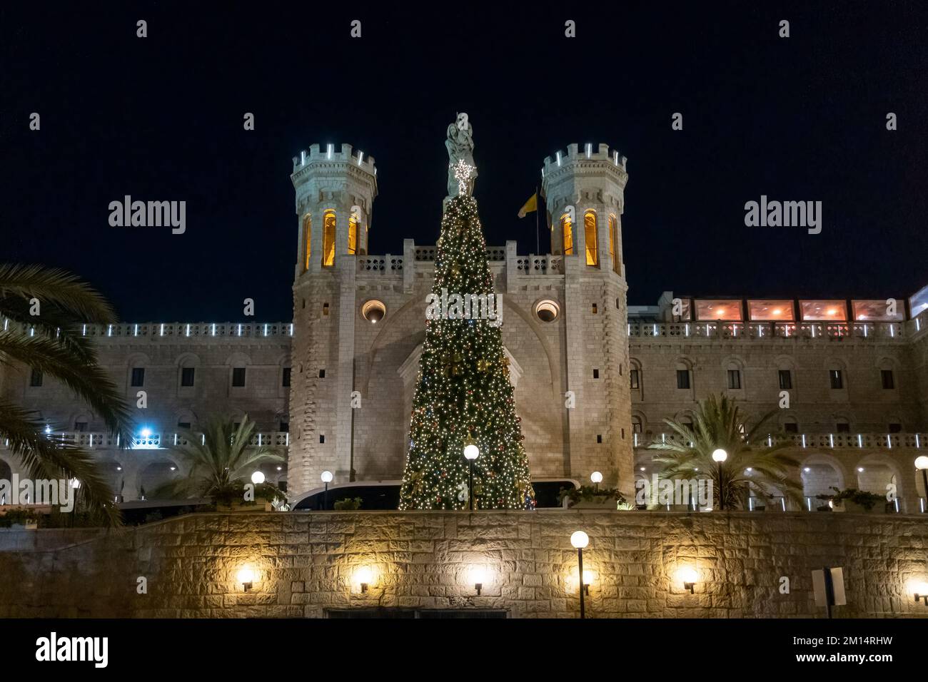 A decorated Christmas tree in front of the 19th century Notre Dame of ...