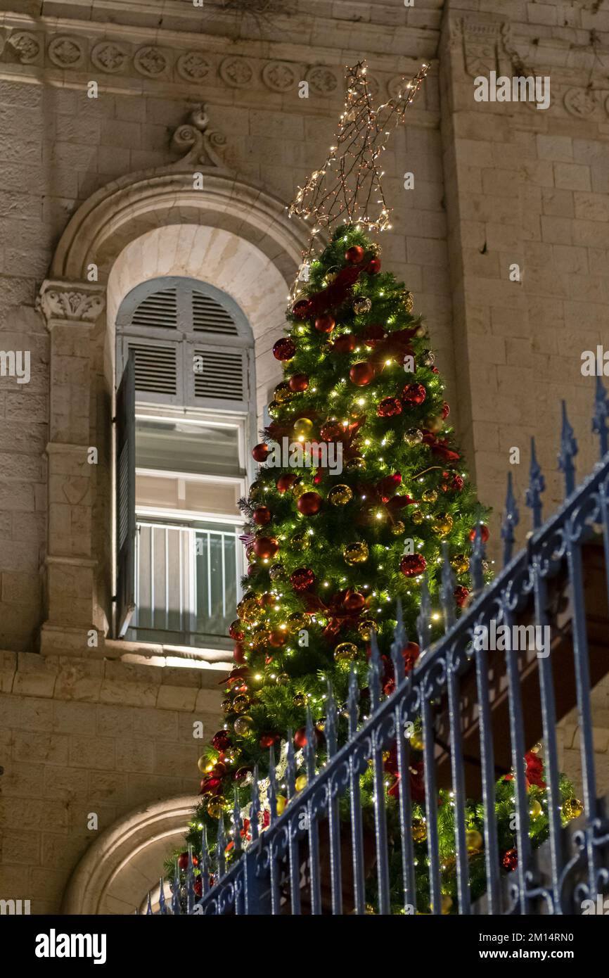 An Illuminated Christmas tree displayed outside Saint Louis French ...