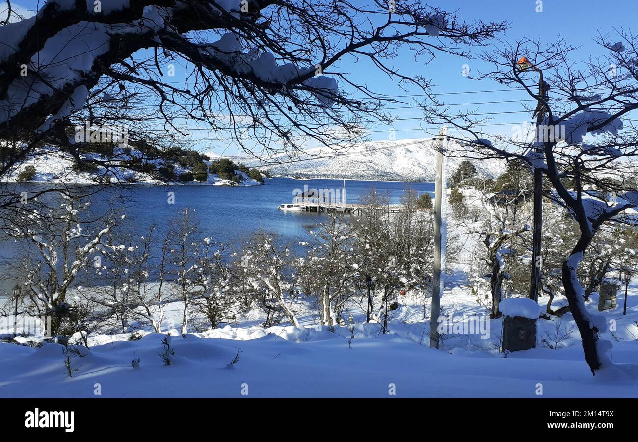 An aerial view of a beautiful forest near the lake in winter in Neuquen ...