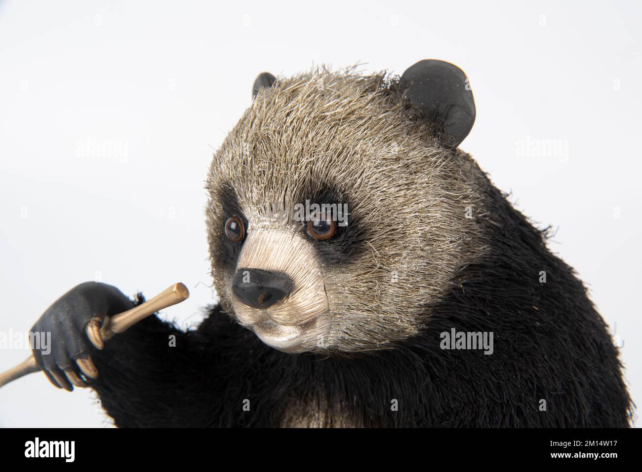 Adult panda isolated hi-res stock photography and images - Alamy