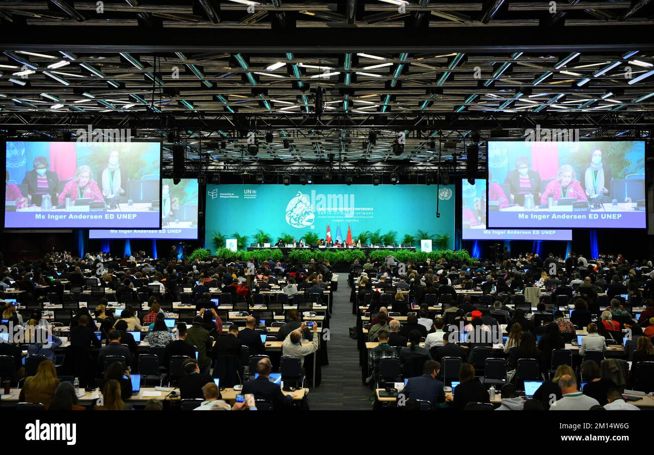 Cop15 montreal hi-res stock photography and images - Alamy