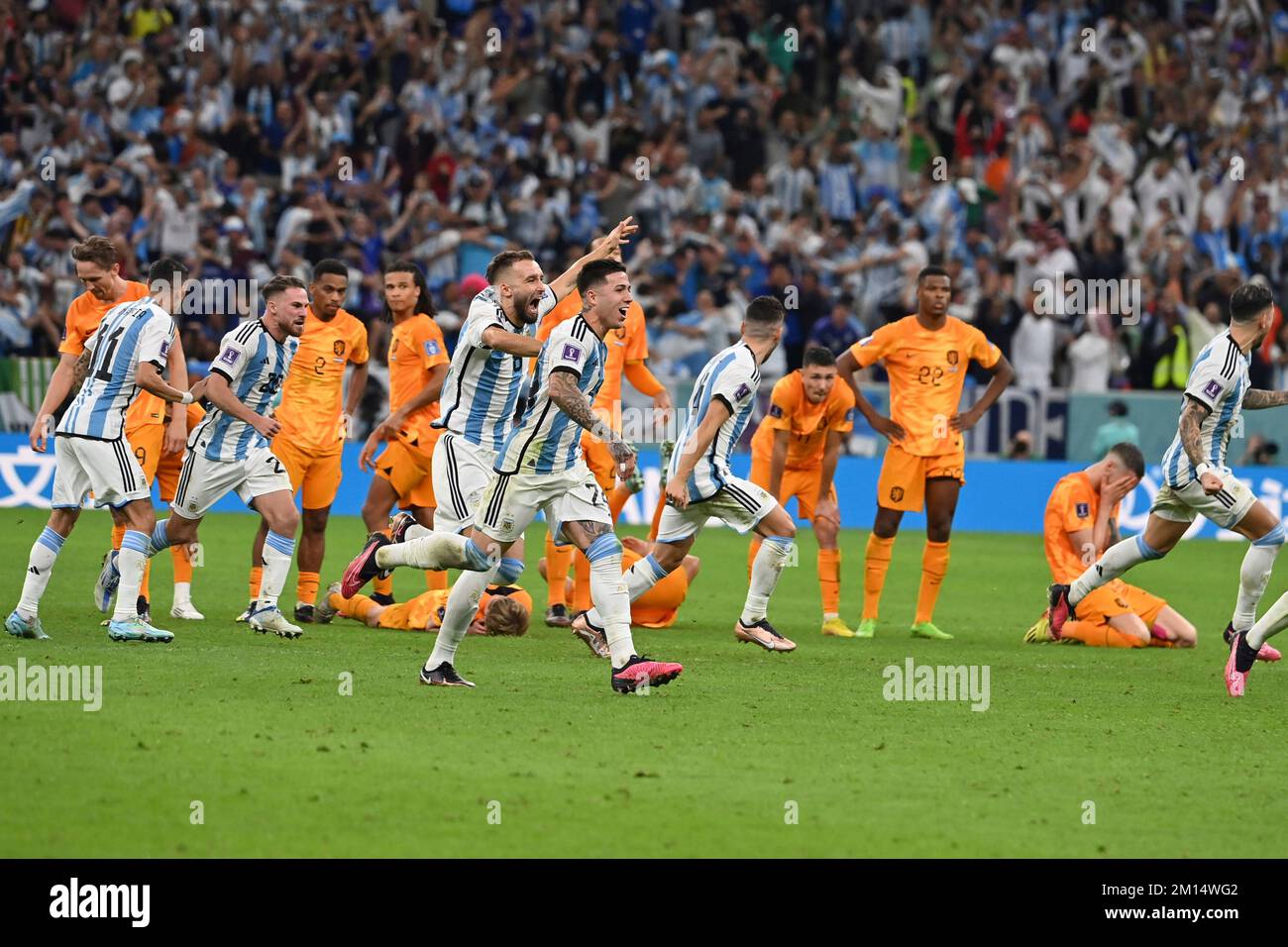 final jubilation, team photo, team, team, team photo, jubilation, joy ...