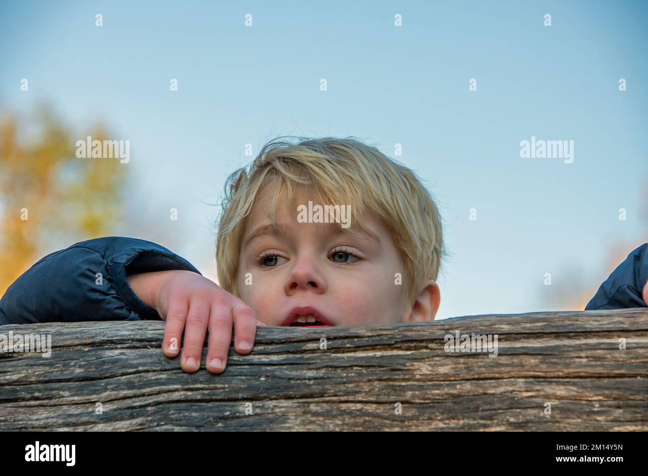 Portrait European boy with green eyes. Child with curly ginger hair ...