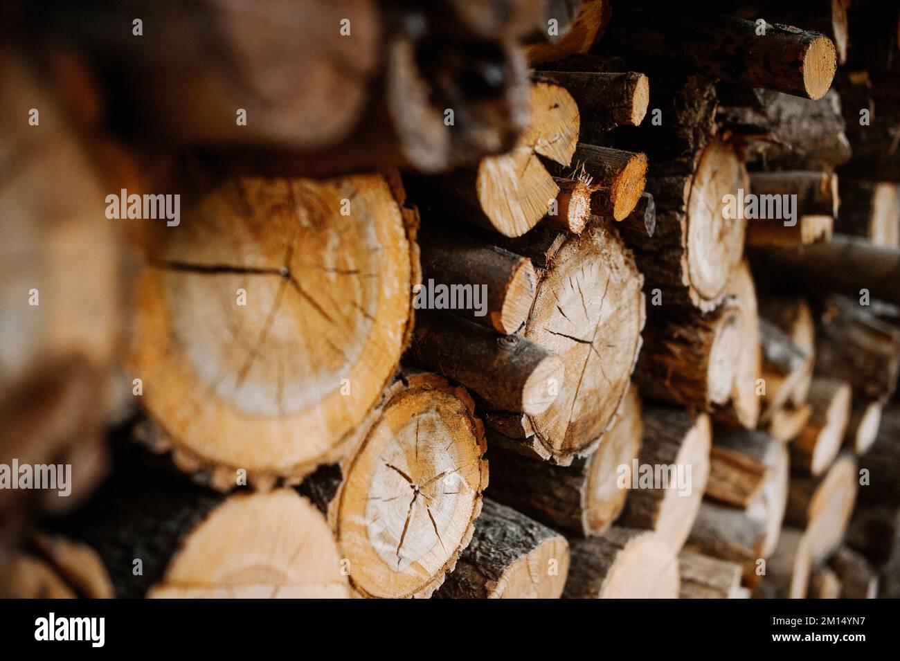 A selective focus shot of a stockpile of the logs and wood outdoors ...