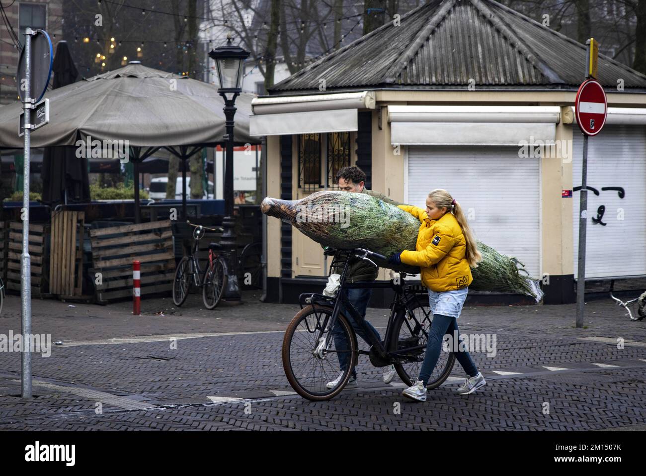 Sint jansbos hi-res stock photography and images - Alamy