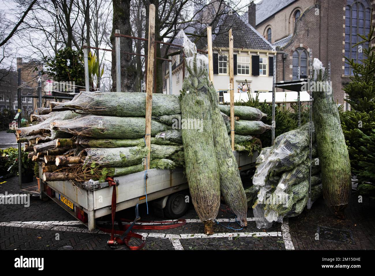 Sint jansbos hi-res stock photography and images - Alamy