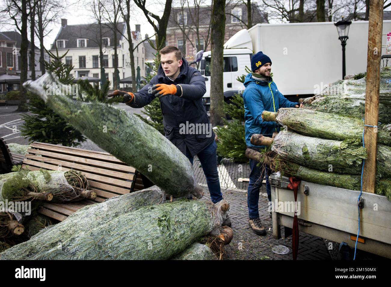 Christmastreesmarket hi-res stock photography and images - Alamy