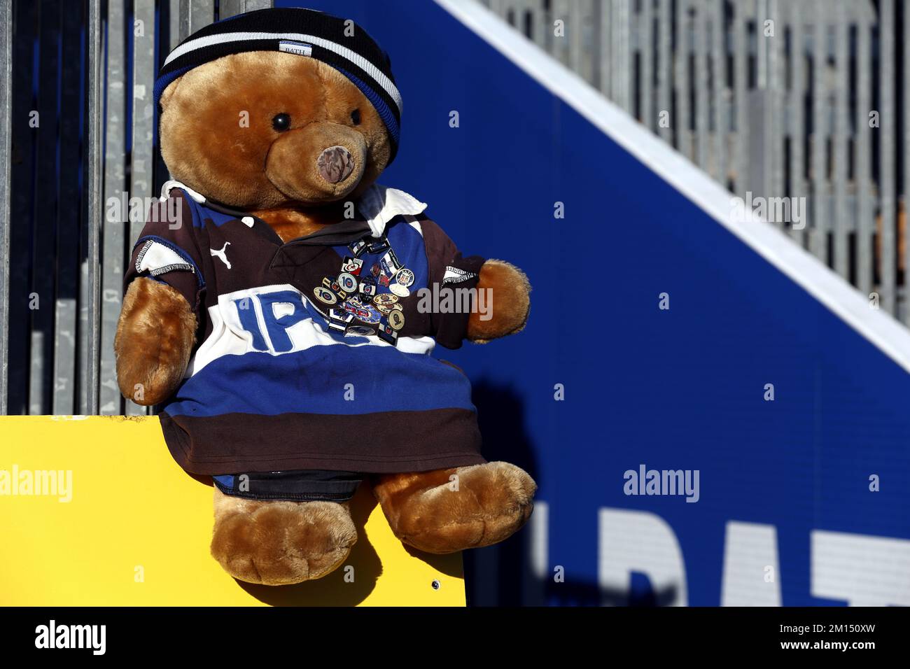 A soft toy of a bear with a Bath Rugby shirt on on and pins in the ...