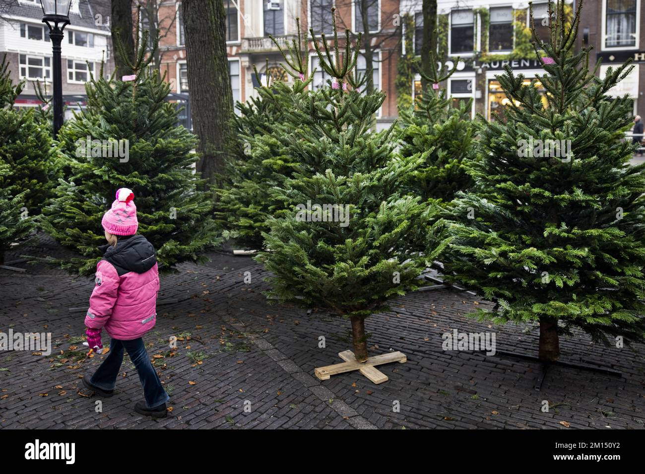 Lifestyle sint jansbos hi-res stock photography and images - Alamy
