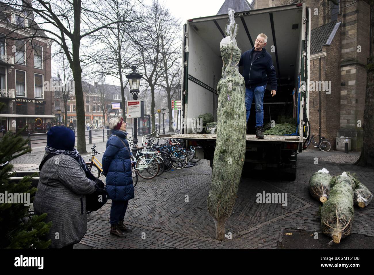 UTRECHT - Christmas trees at Janskerkhof in Utrecht, where the weekly ...