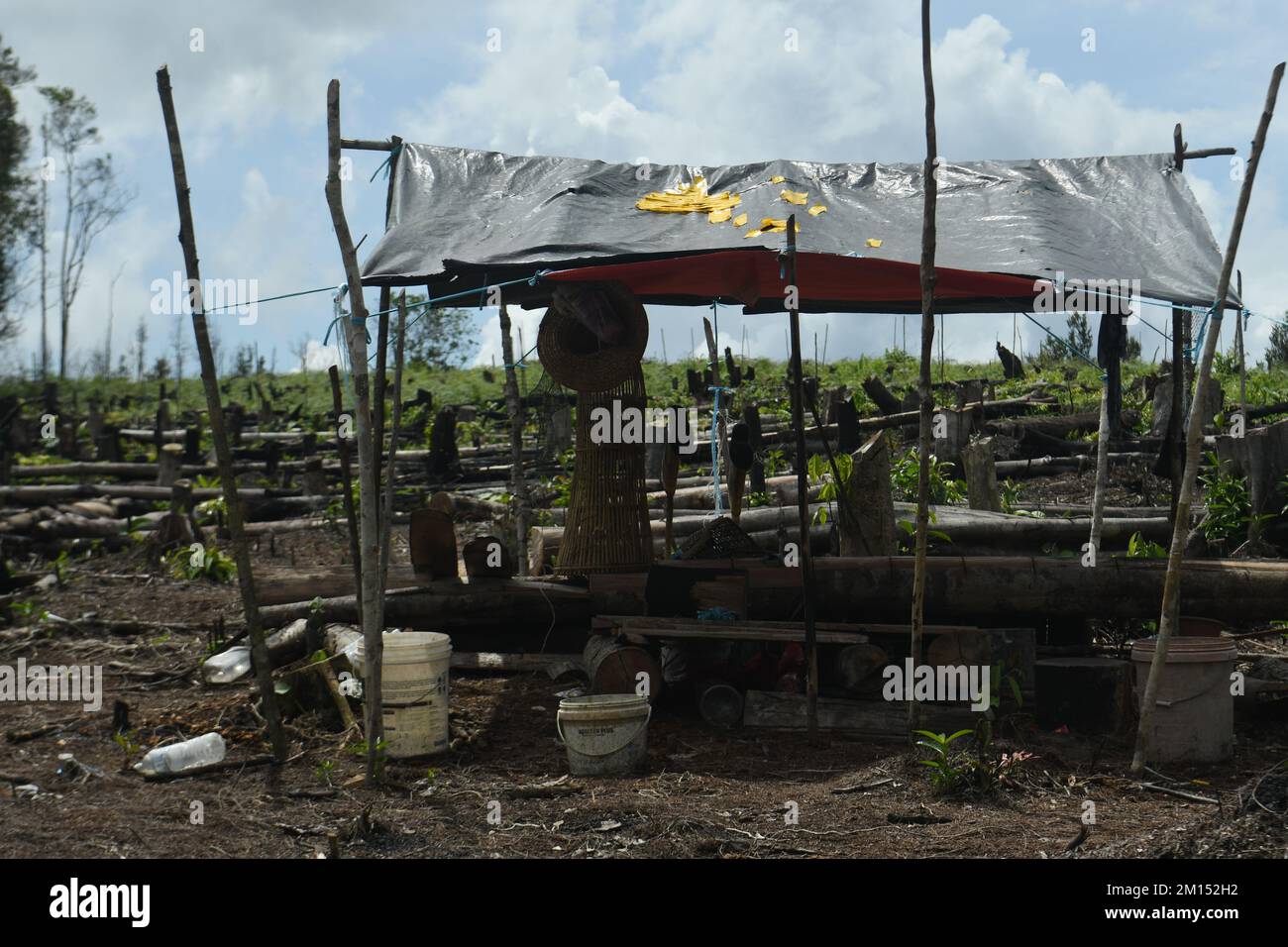 Farmer shed sarawak hi-res stock photography and images - Alamy