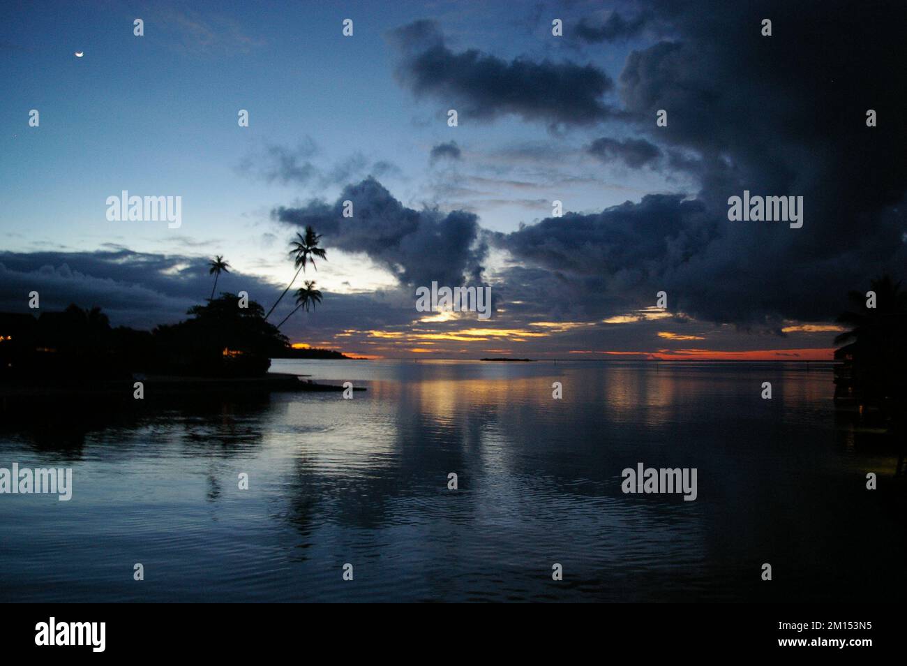 Palm trees at sunset with moon hi-res stock photography and images - Alamy