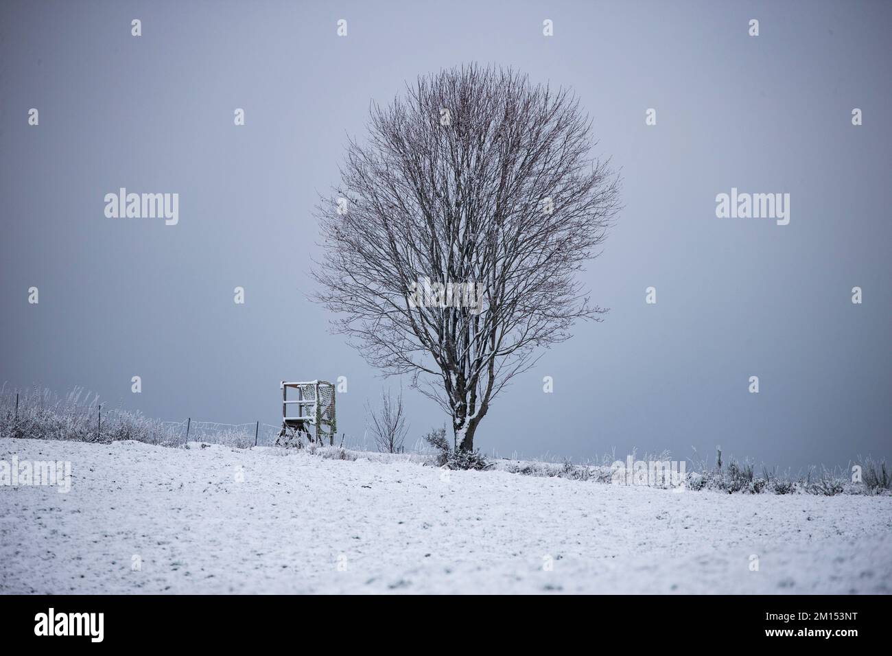 Bruchhausen, Germany. 10th Dec, 2022. A tree covered with snow and a ...