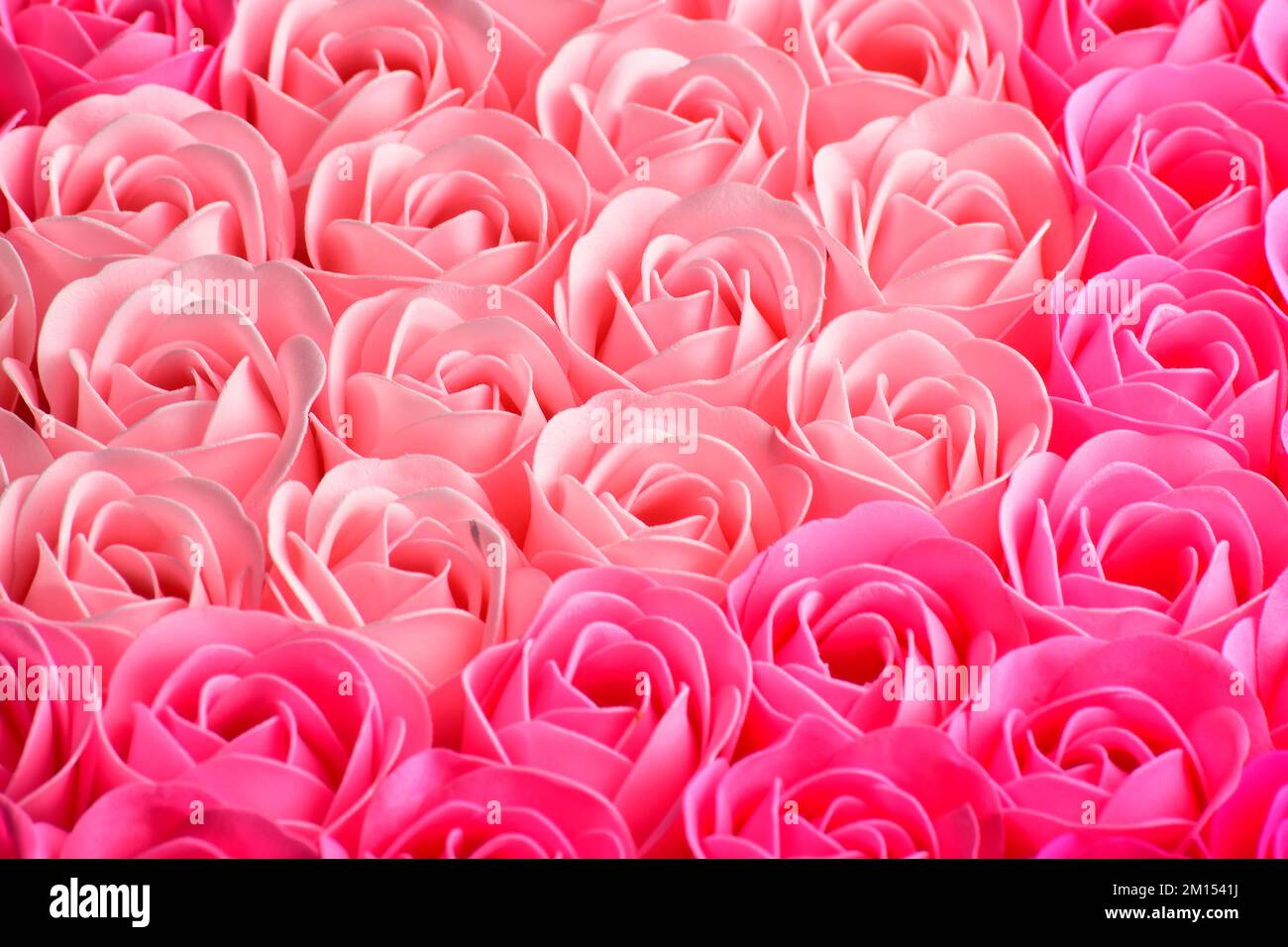 Pink roses pattern textured background Stock Photo - Alamy