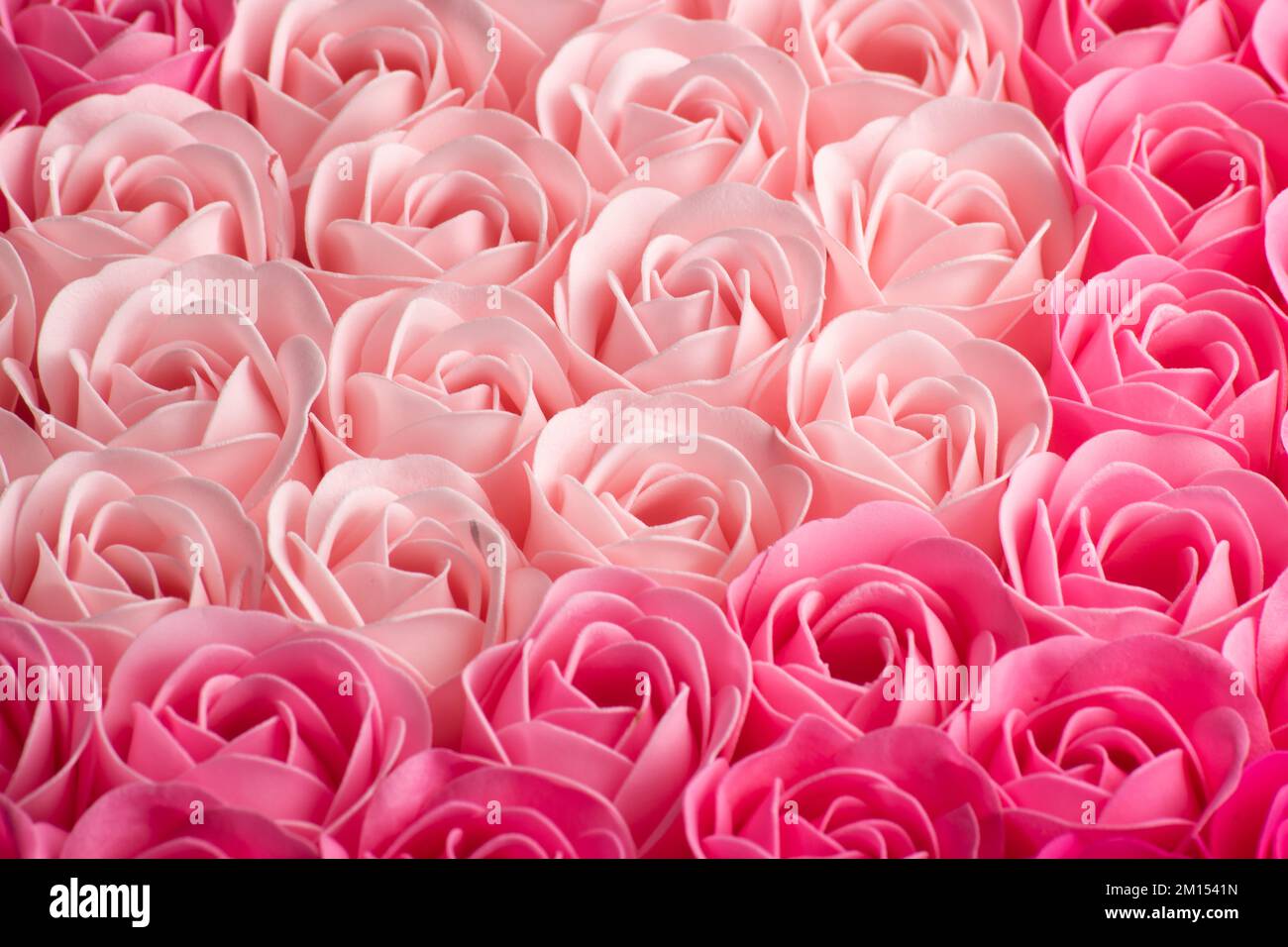 fresh pink rose texture background Stock Photo - Alamy