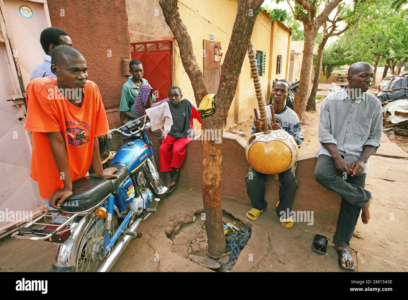 The Kora musicians and family members of Toumani Diabate the Malian ...