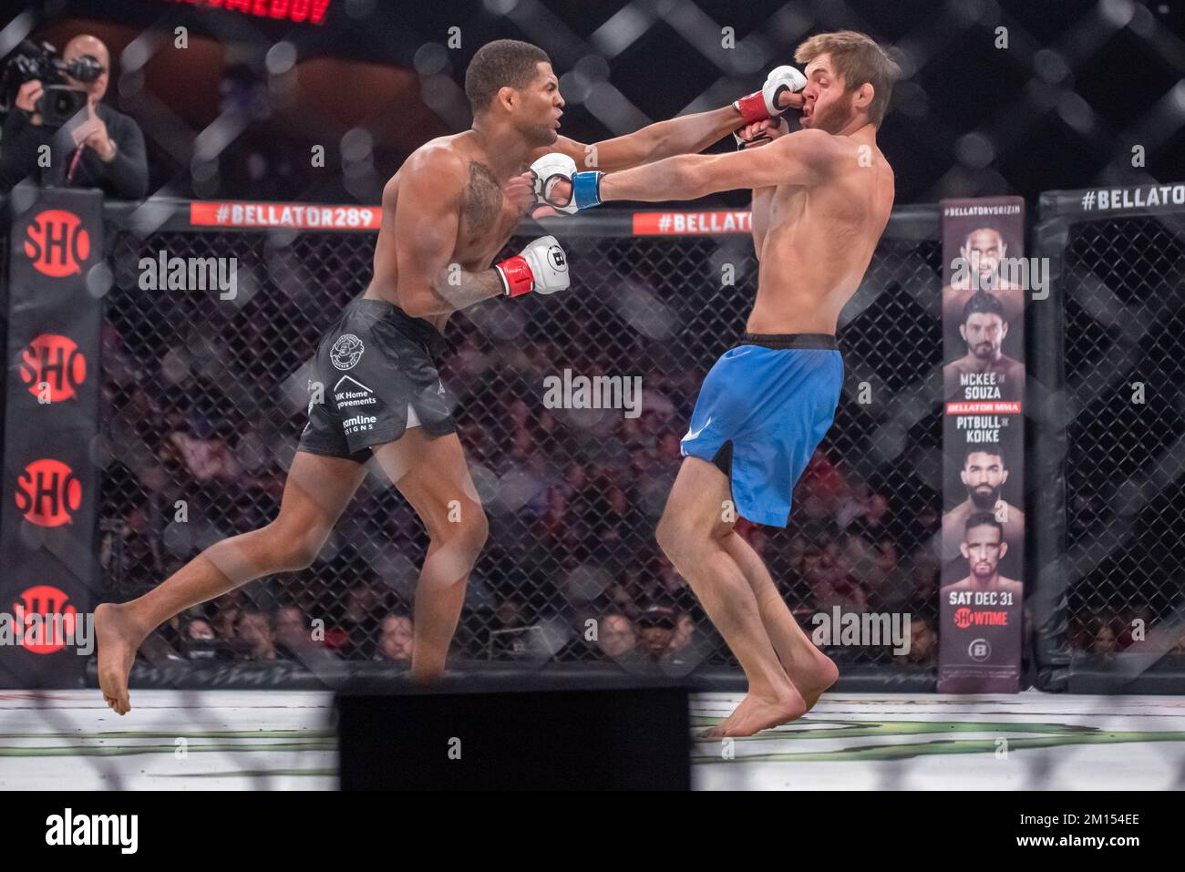 Patchy mix hi-res stock photography and images - Alamy