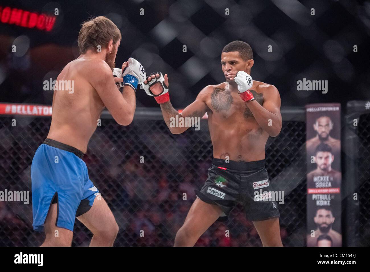 Patchy mix hi-res stock photography and images - Alamy