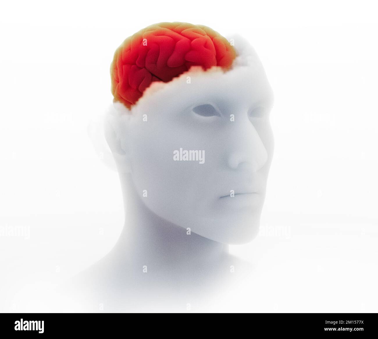 Neurology, philosophy: connections, the development of thought and ...