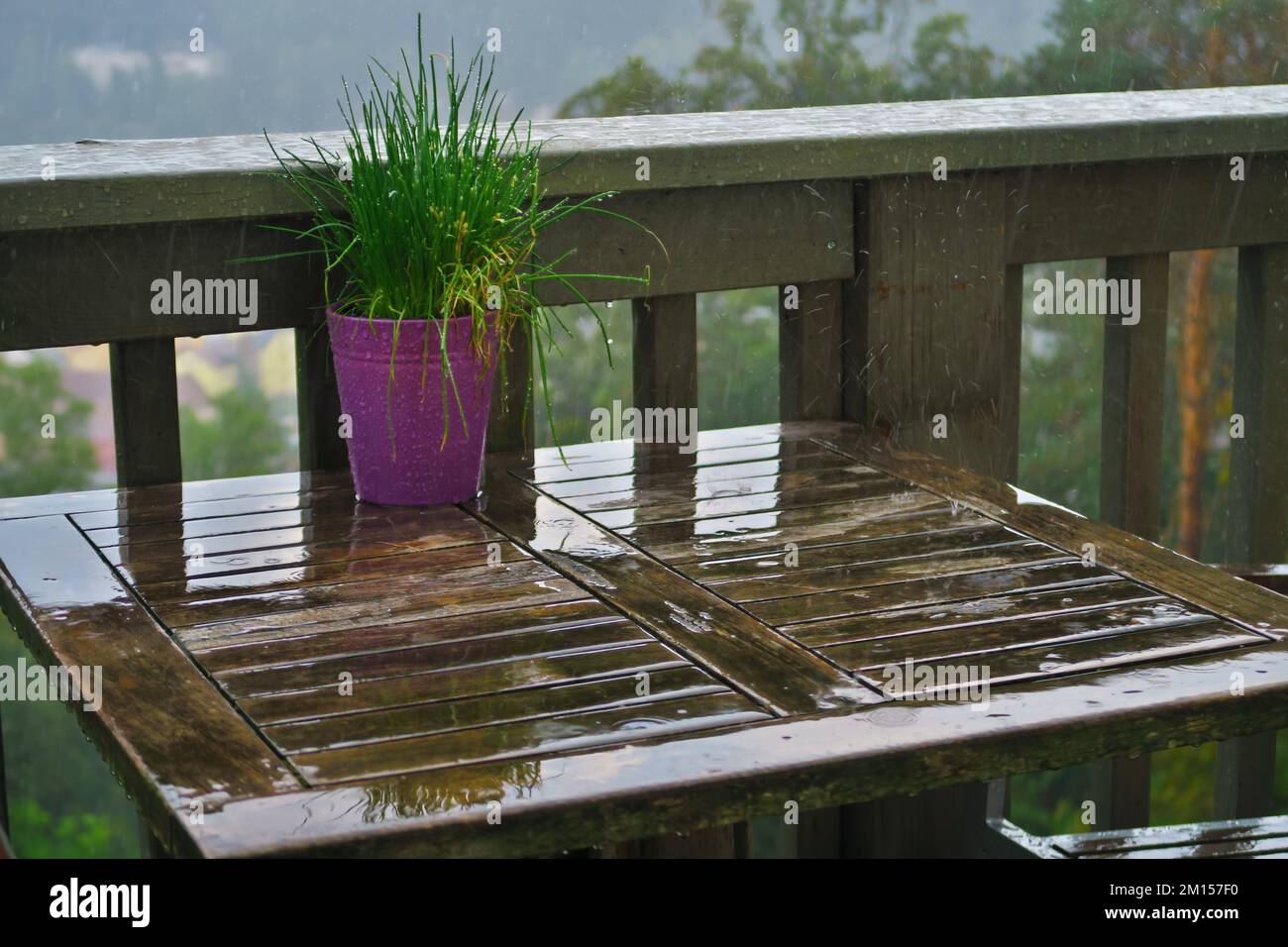 Rain garden terrace hi-res stock photography and images - Alamy
