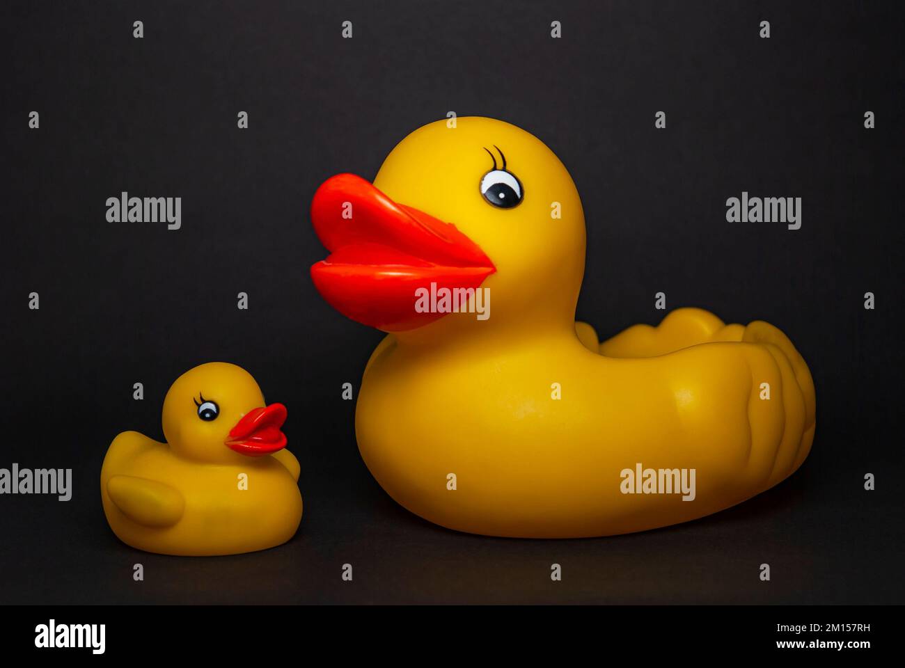 Two rubber ducks, large and small, isolated against a black background ...