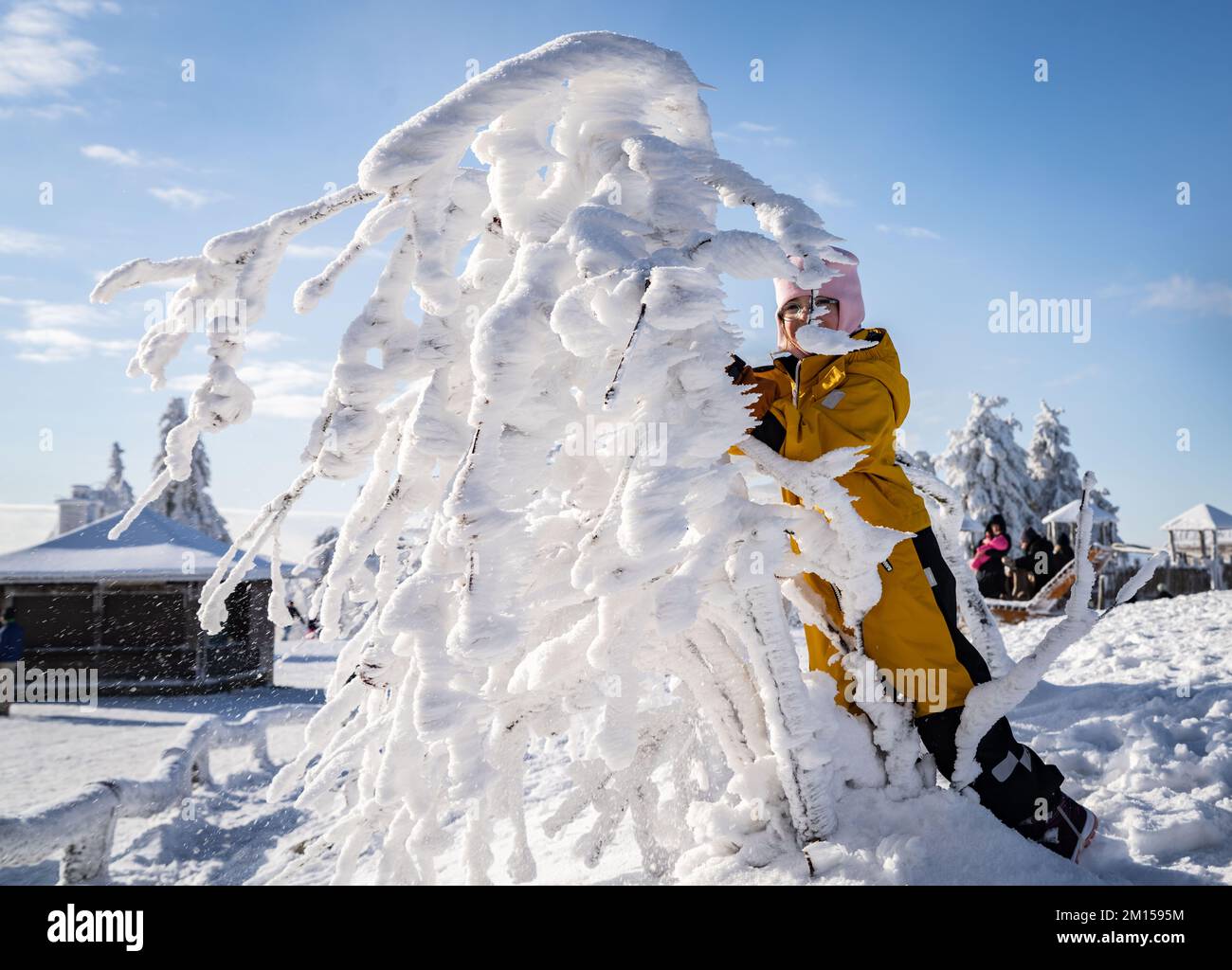 Schmitten, Germany. 10th Dec, 2022. Seven-year-old Hanneli shakes one ...