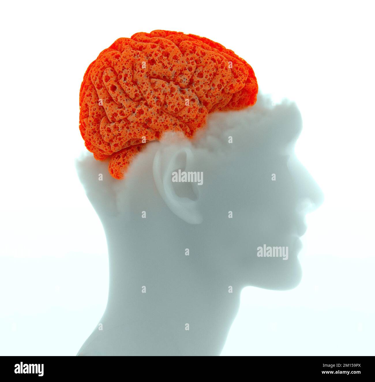 Neurology, philosophy, the development of thought and reflection, how ...