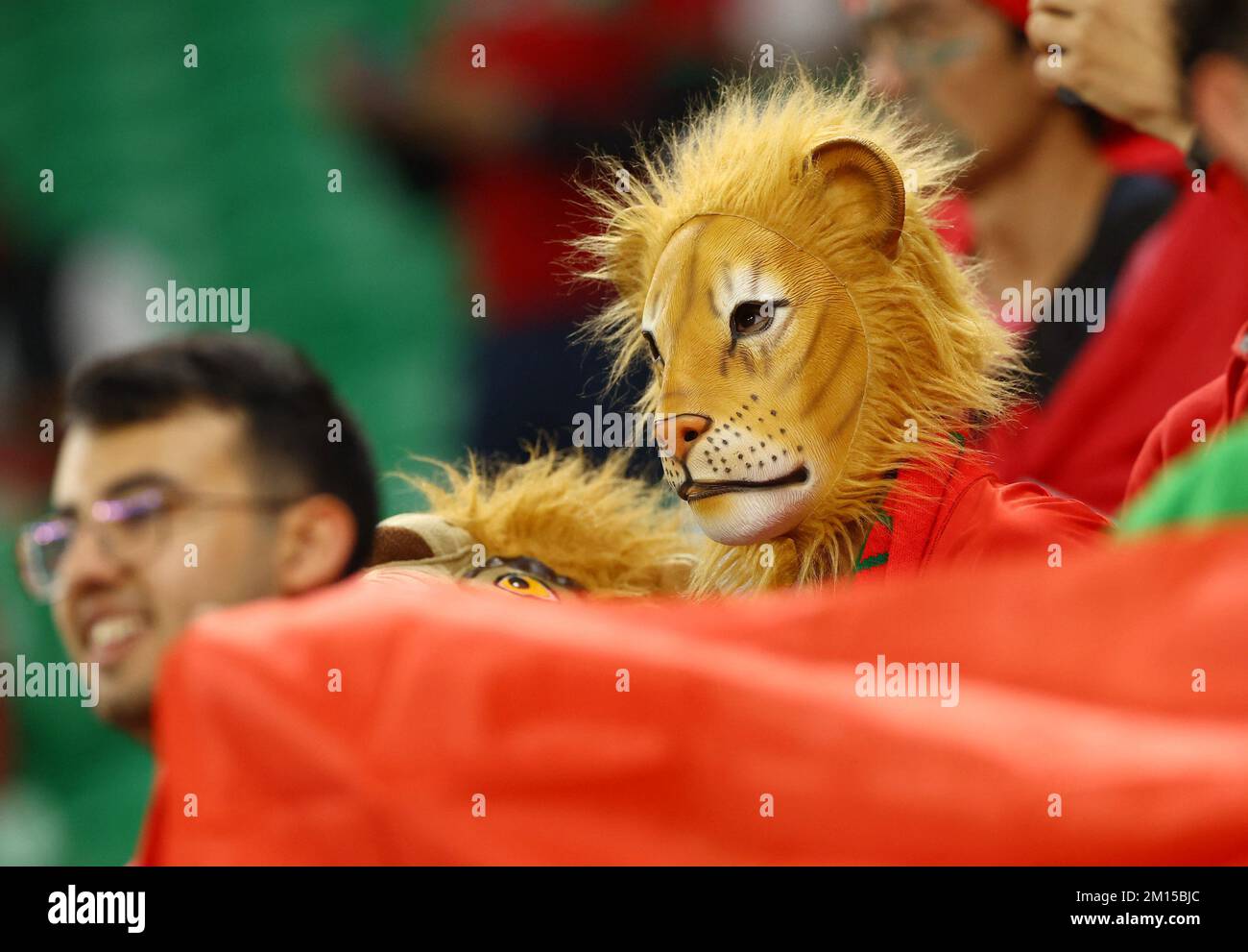 Al thumama stadium inside hi-res stock photography and images - Alamy