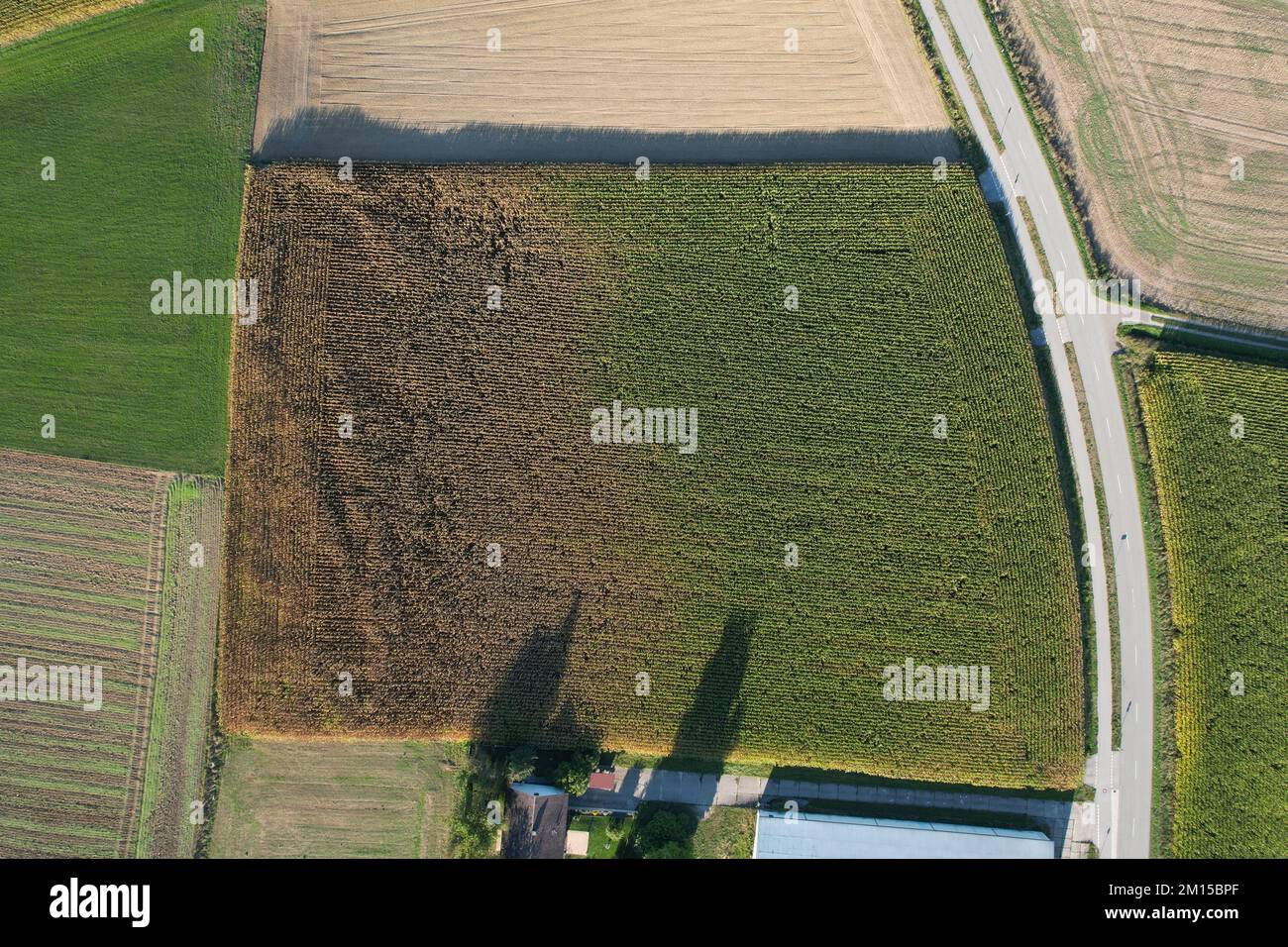 An aerial view of green agricultural fields and crops ready for ...