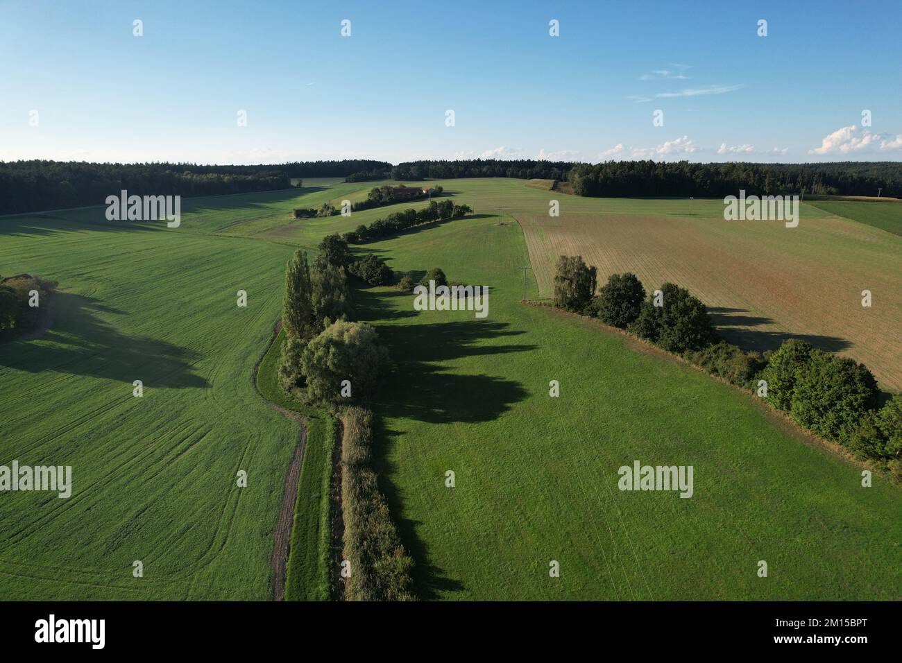 An aerial view of agricultural fields and green trees, on a sunny day ...