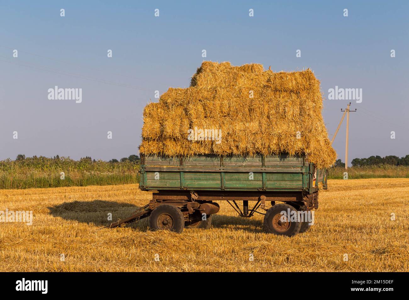 Straw bales on a wagon hi-res stock photography and images - Alamy
