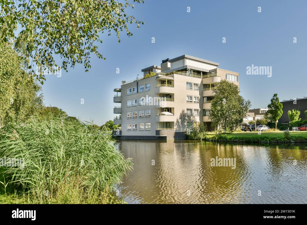 View of street near building with beauty of vegetation outside Stock ...