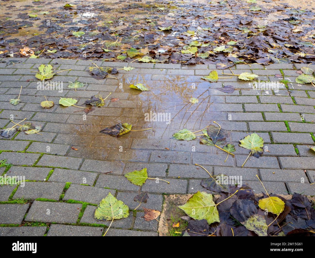 Rain on rough floor hi-res stock photography and images - Alamy