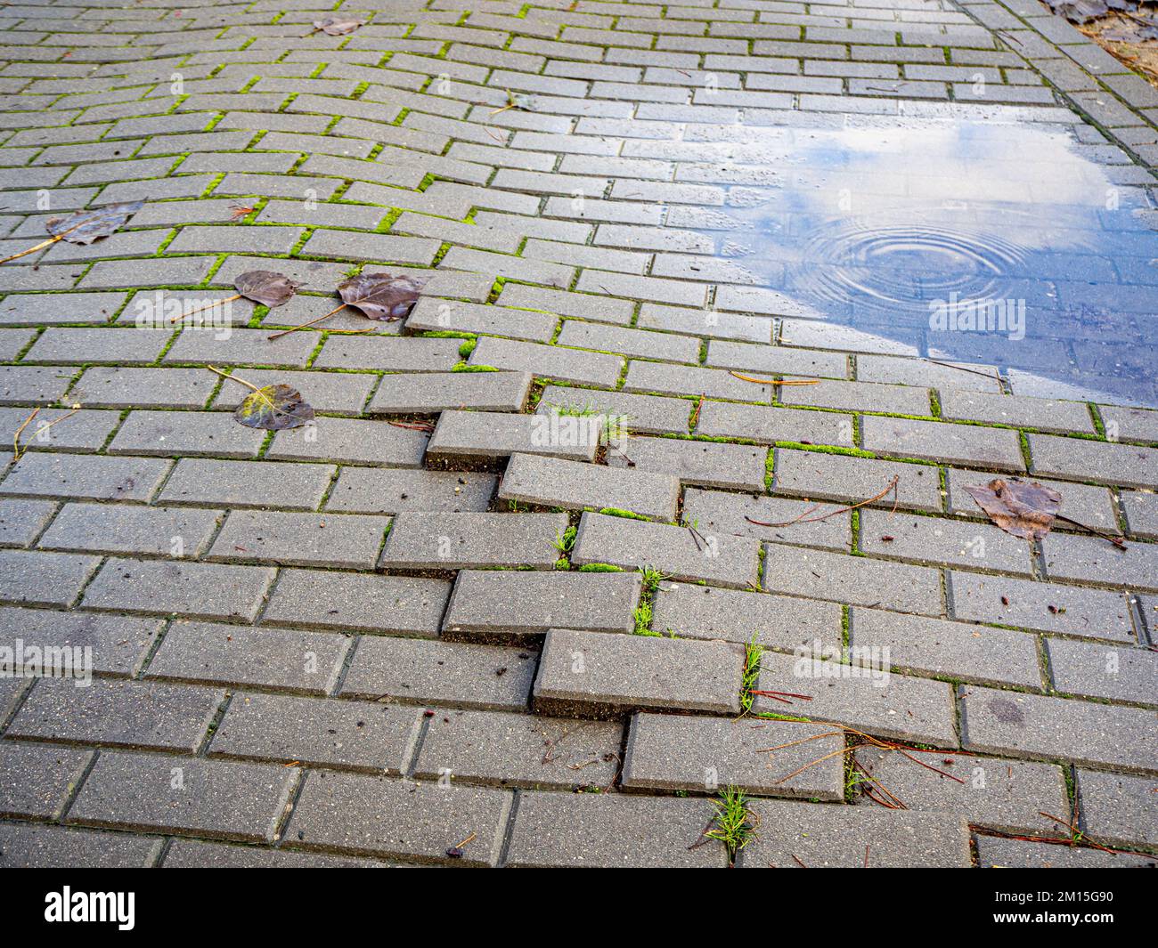 macro broken concrete pathway brick surface background, melancholy ...