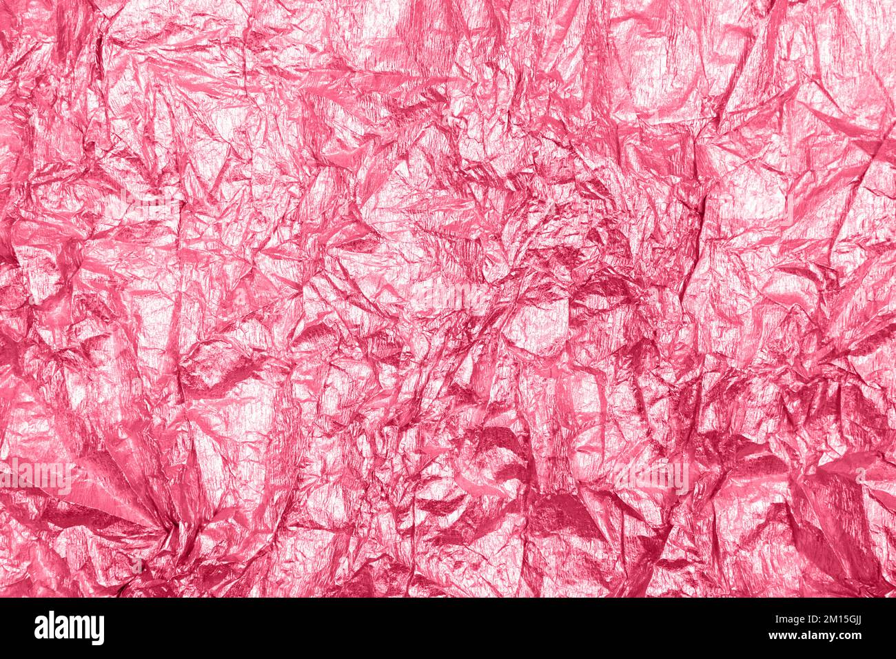 Viva Magenta Color of the Year 2023. Magenta background with shiny ...