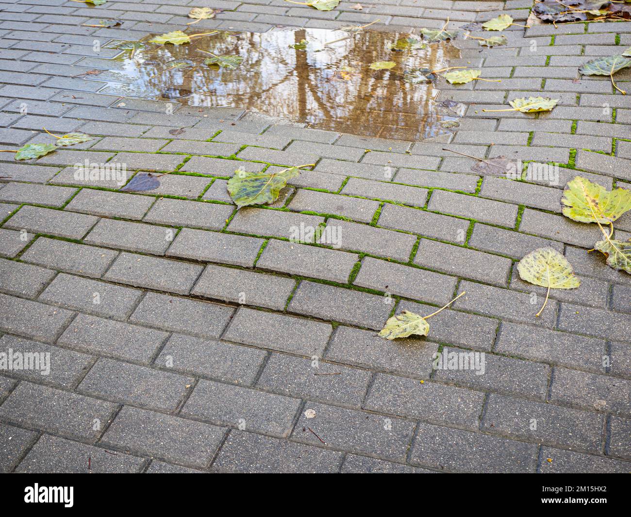 pothole in a block sidewalk with risk to people. Concept of risk hd ...