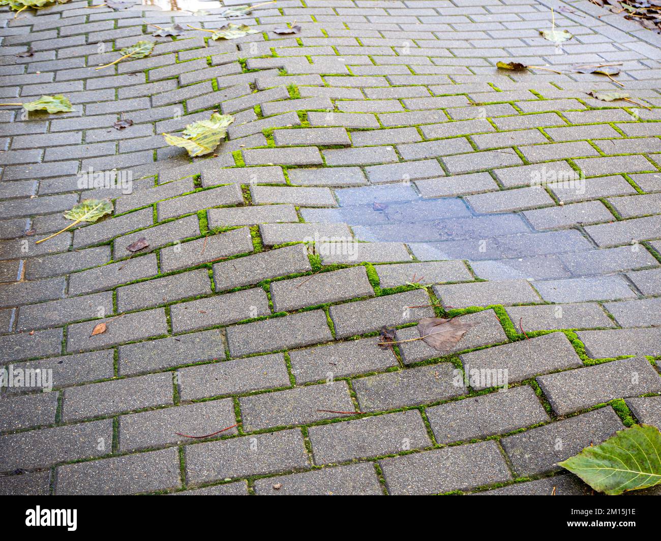 pothole in a block sidewalk with risk to people. Concept of risk hd ...