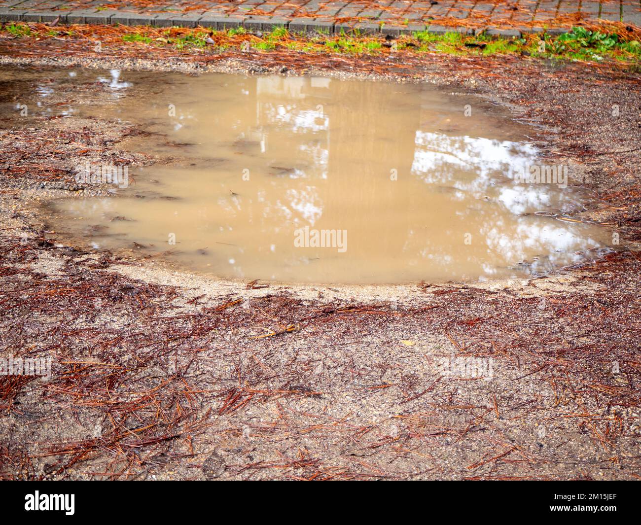 muddy road on a rural highway flooded by winter rains Stock Photo - Alamy