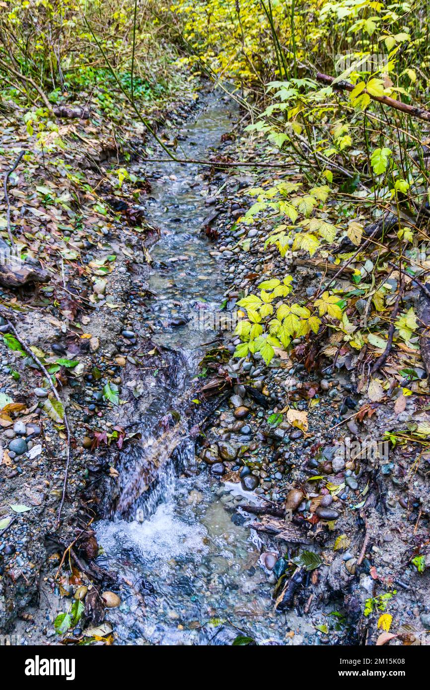 A stream at Dash Point State Park in Washington State. It is winter ...
