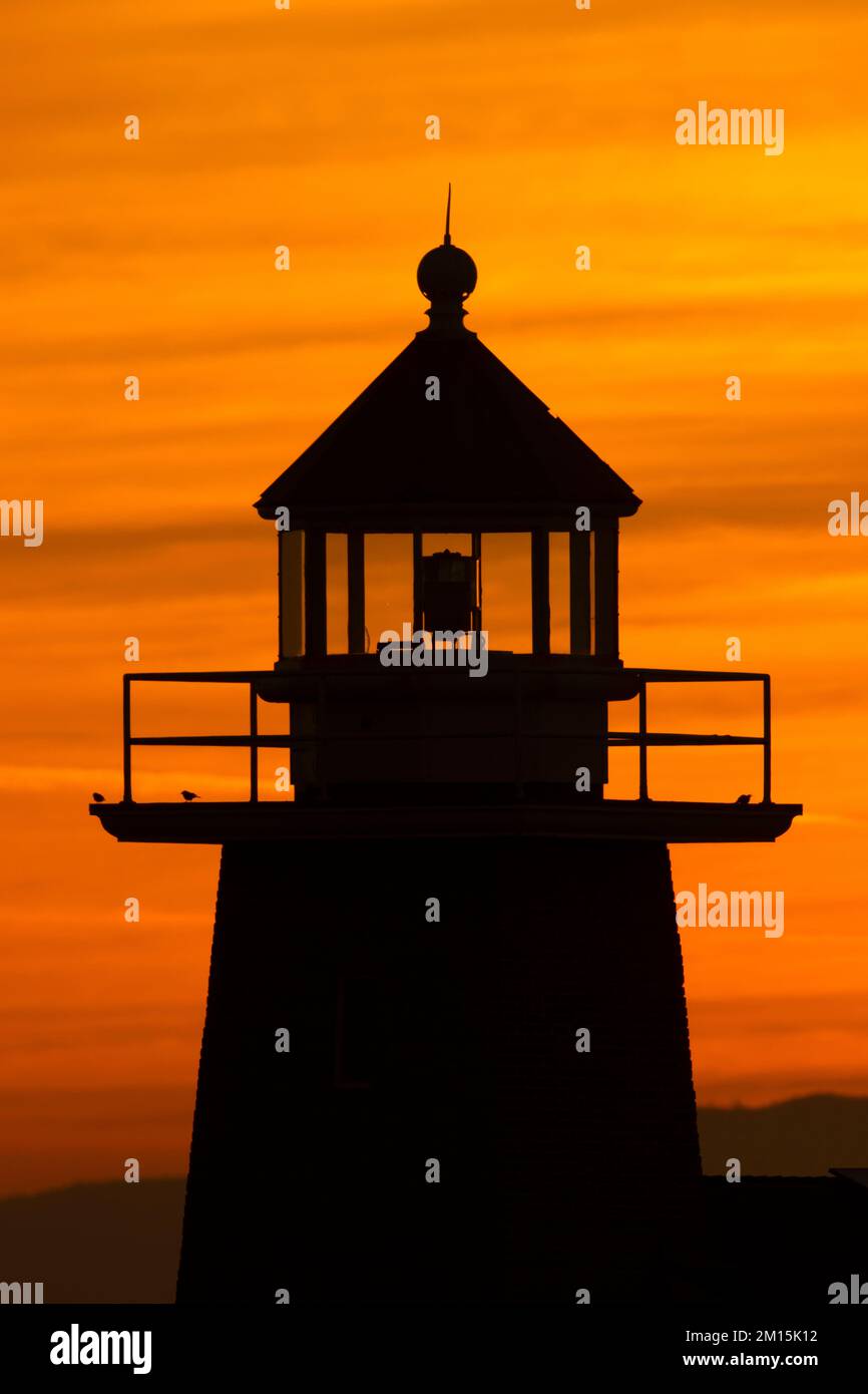 Museum of surf hi-res stock photography and images - Alamy